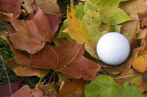 Autumn Golf Survival Guide: Golfing Challenges and How To Adapt – Whole ...