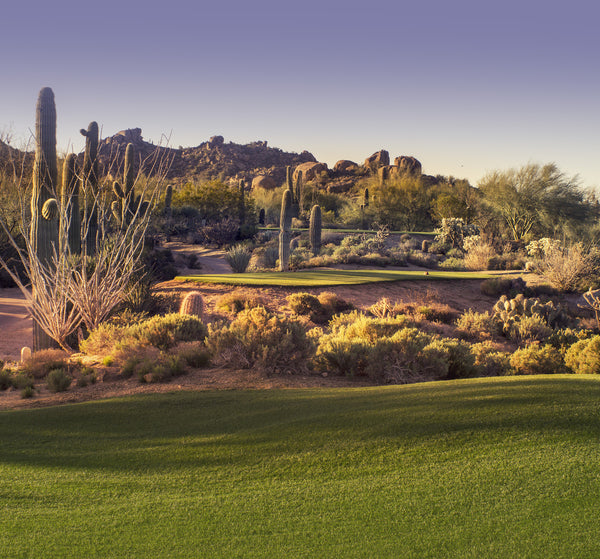 Desert Golf: The Final Frontier for Serious Golfers – Whole in One
